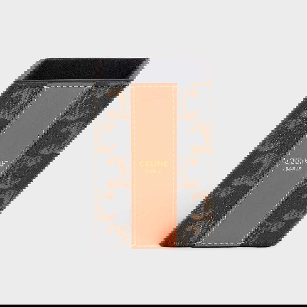 Celine Gift Ideas For The Chic | a+ Singapore