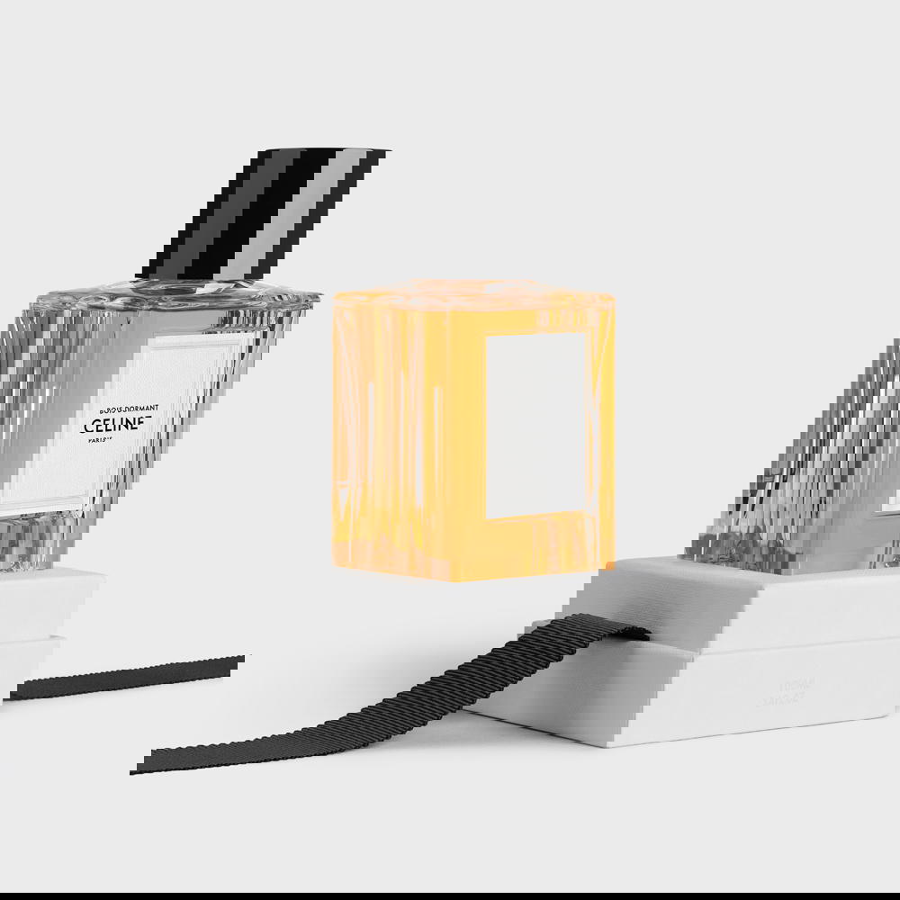 Celine Gift Ideas For The Chic | a+ Singapore