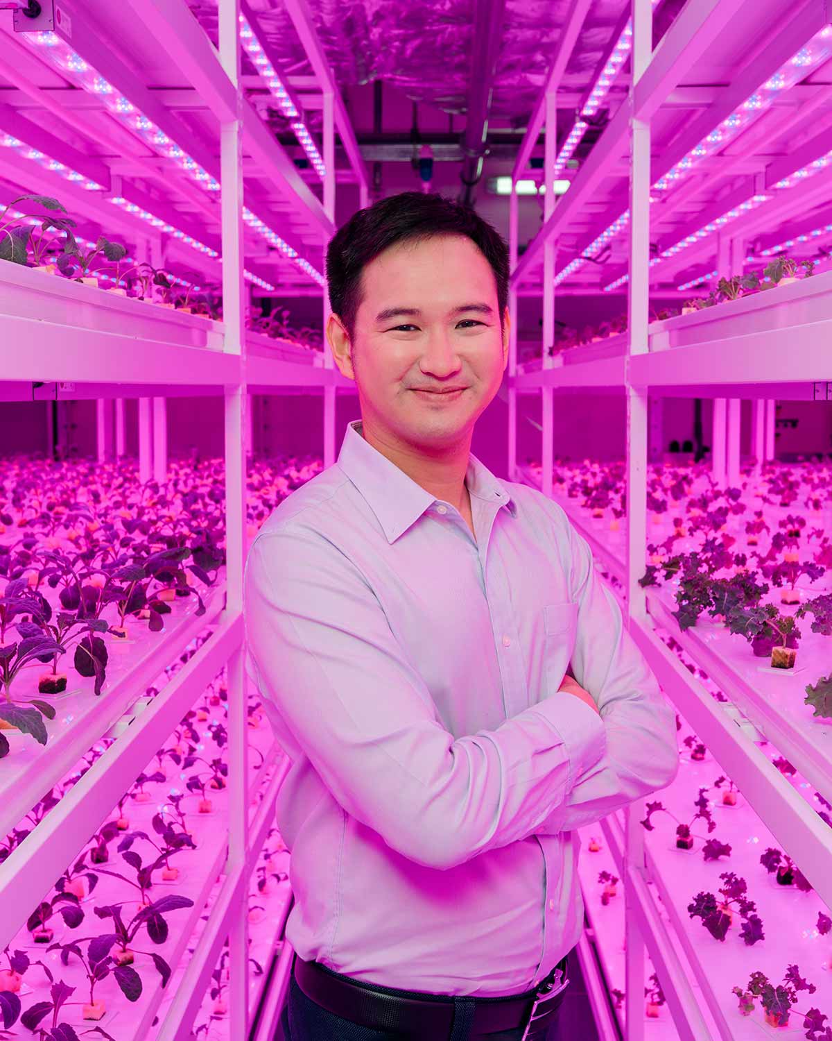 Jack Moy Enriches Leafy Greens For Our Own Good | a+ Singapore