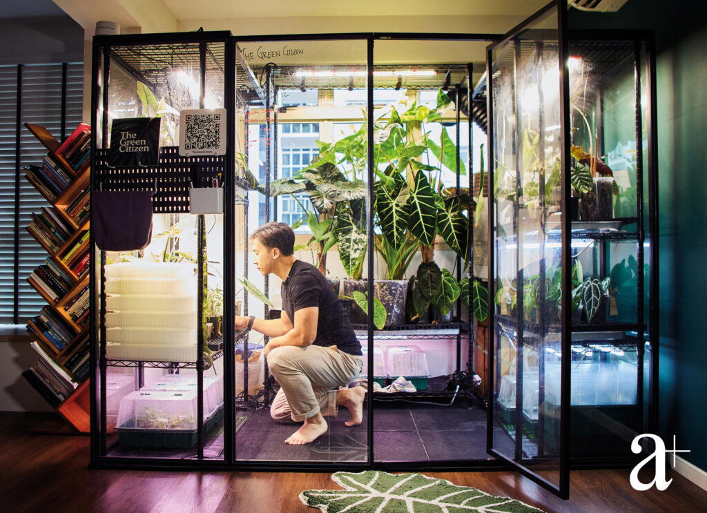 The Collectors: Timothy Sim Built A Glasshouse In His HDB Flat | a+ ...